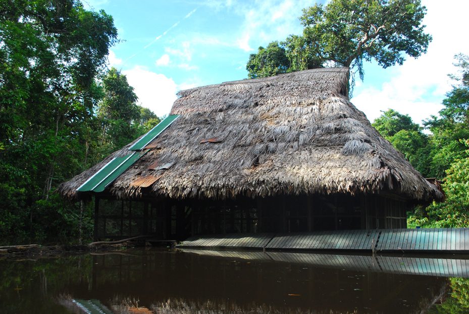 A new monkey house rises in the Amazon - International Primate ...